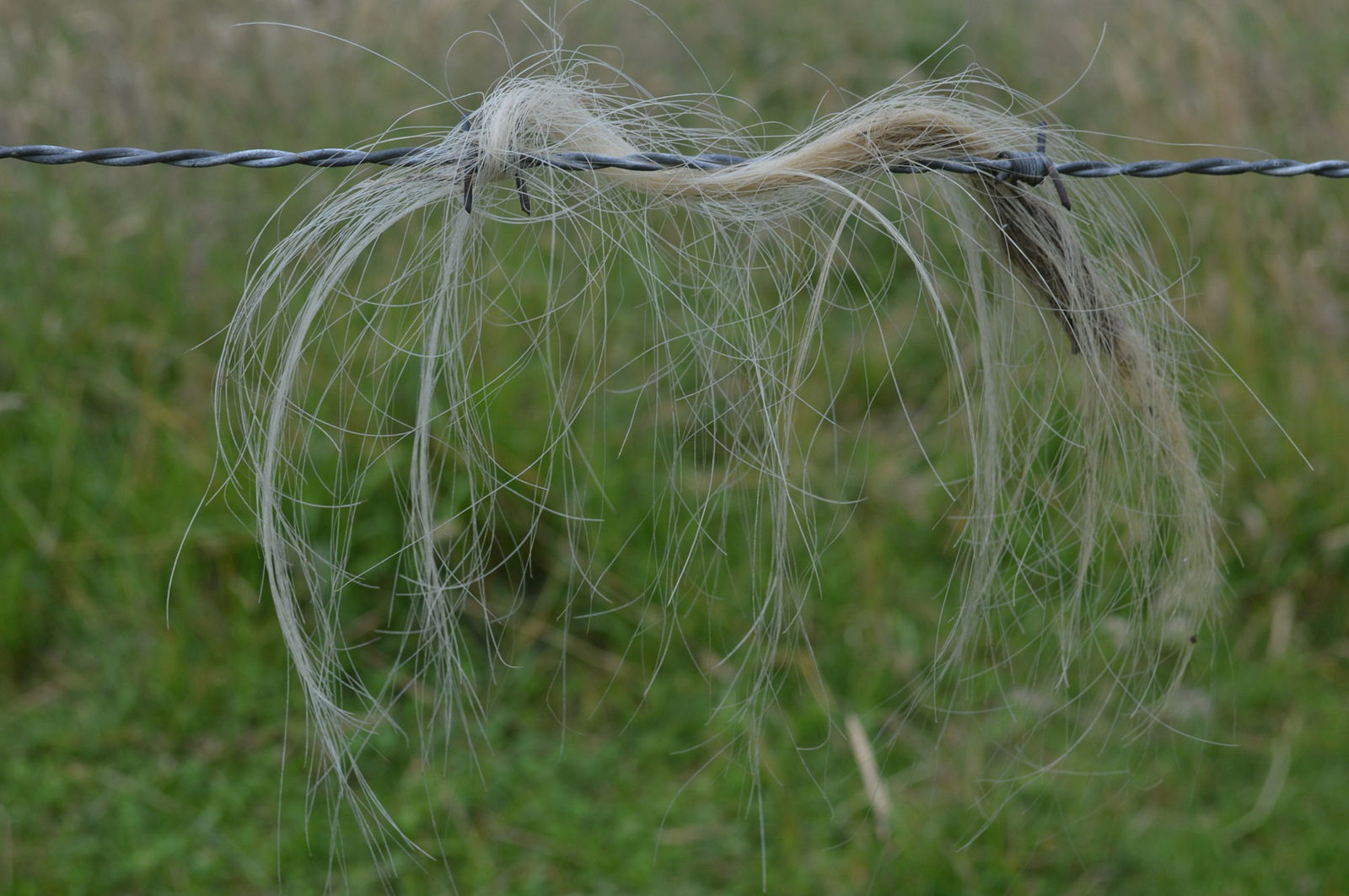 Uitgepluisd: 9 tips om te werken met bont – Girls in Uniform